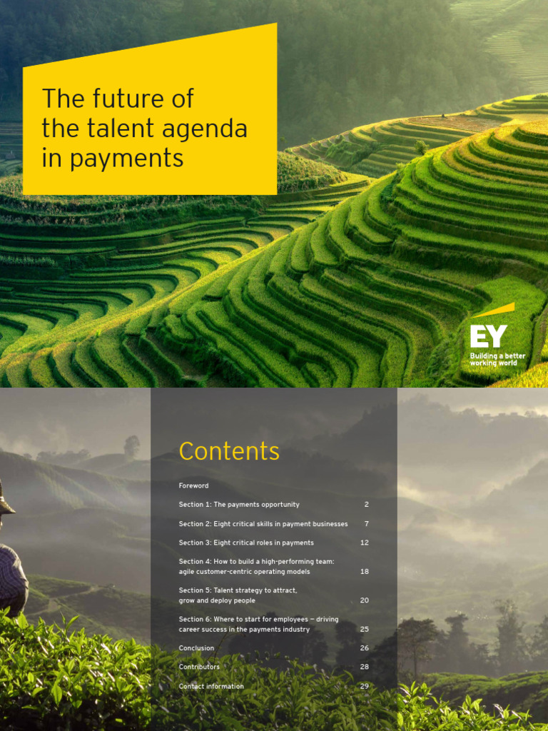 Ey The Future of The Talent Agenda in Payments Feb 2024 | PDF | Banks ...