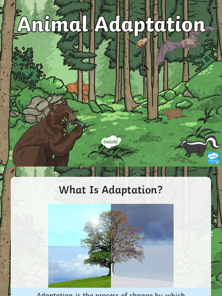 Animal Adaptation | PDF