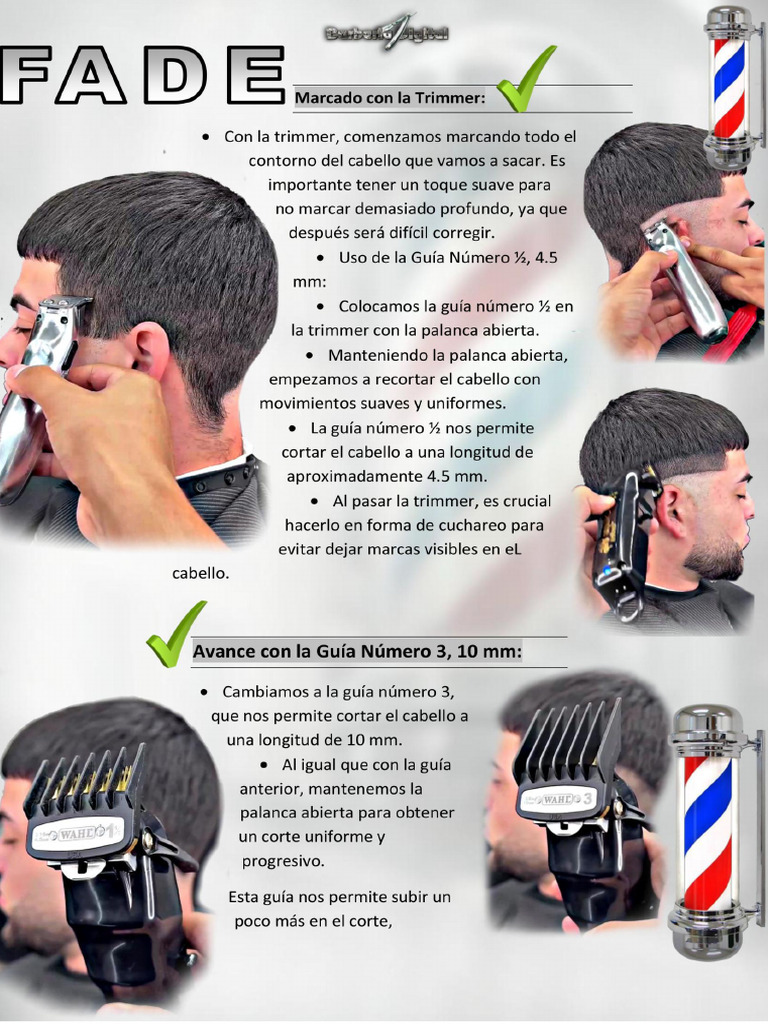 FADE guia paso a paso | PDF
