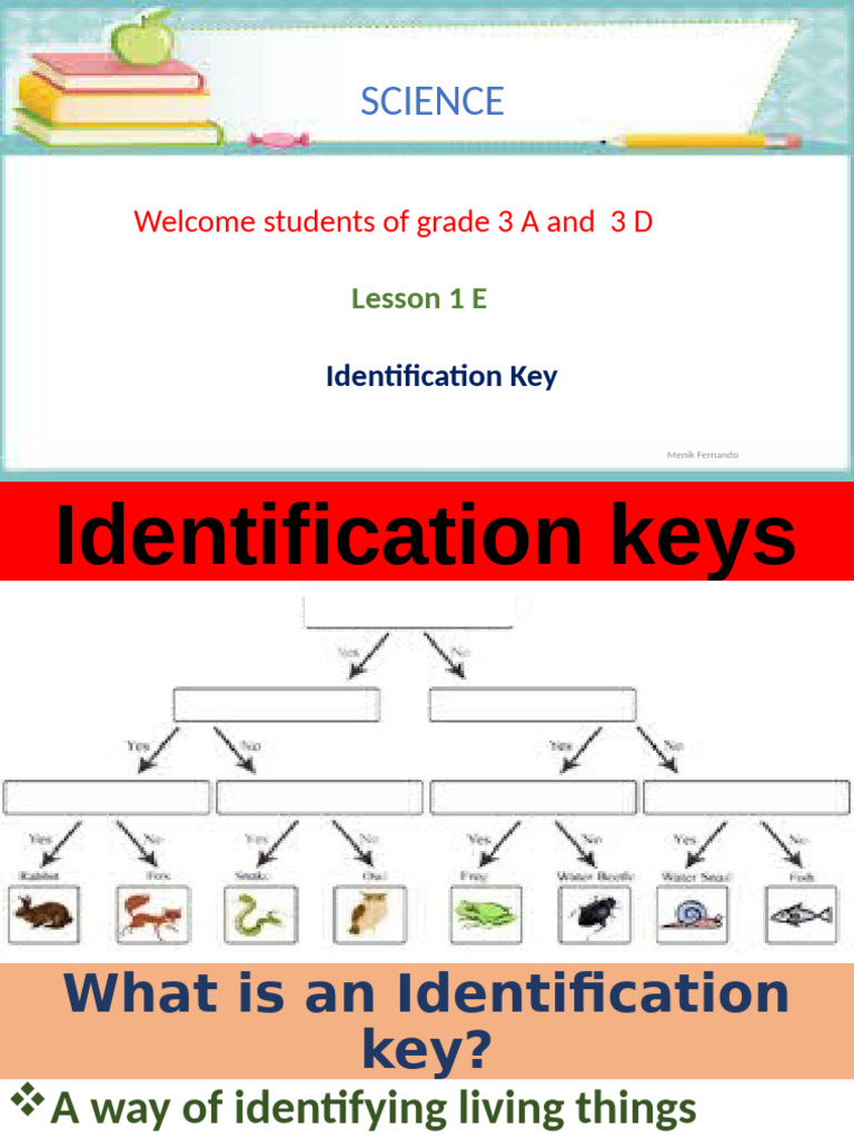 Lesson 1 e Identification Key | PDF