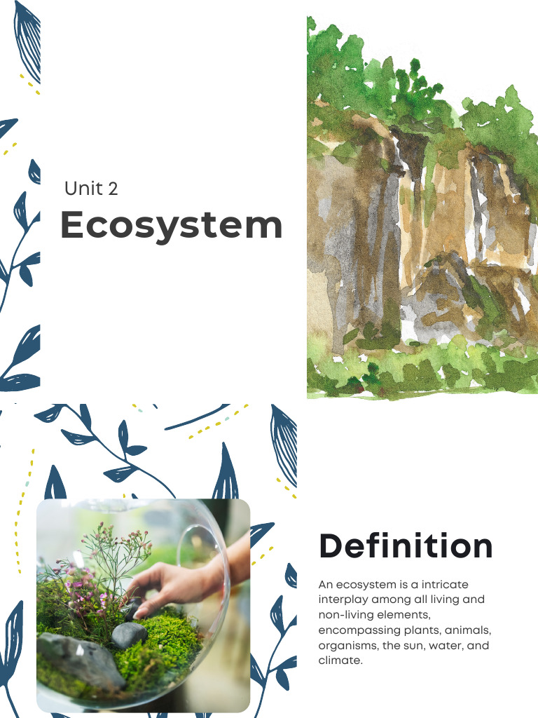 Ecosystem Full | PDF
