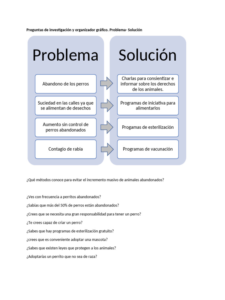 Preguntas de Investigación y Organizador Gráfico | PDF