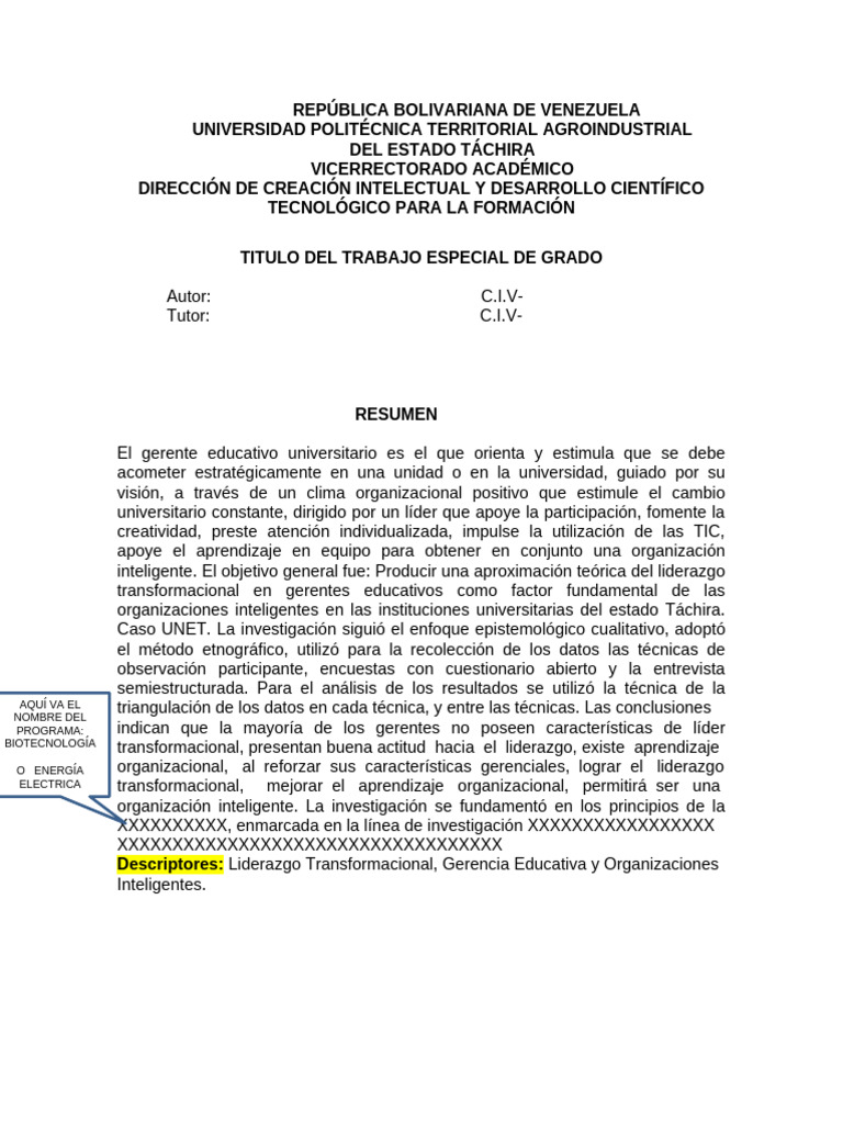 Modelo Resumen (Modelo ) | PDF