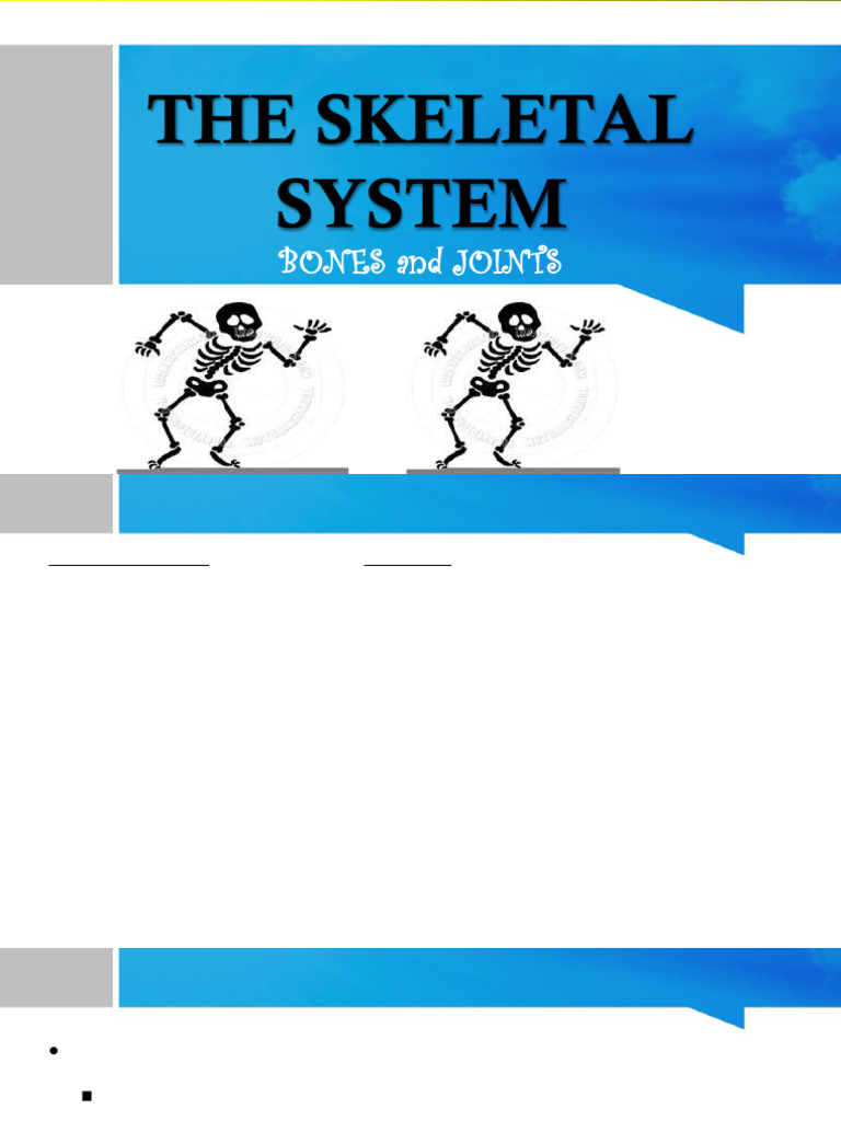 SKELETAL-SYSTEM | PDF