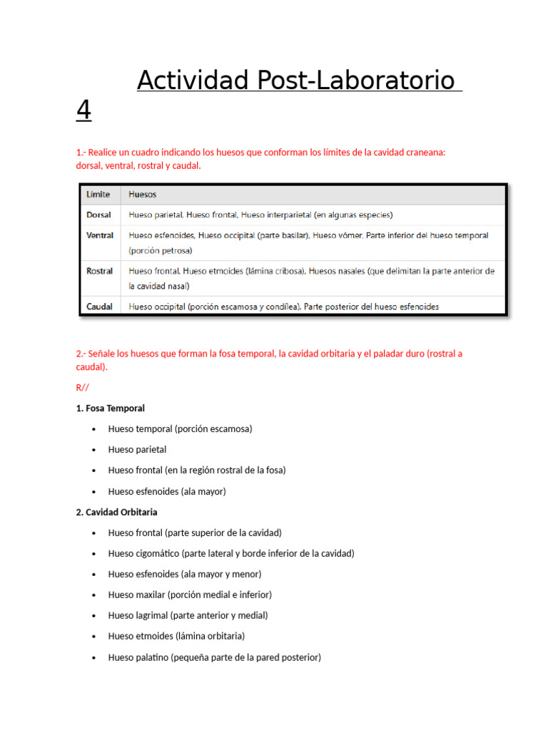 Actividad Post 4 y Pre LAB 5 | PDF