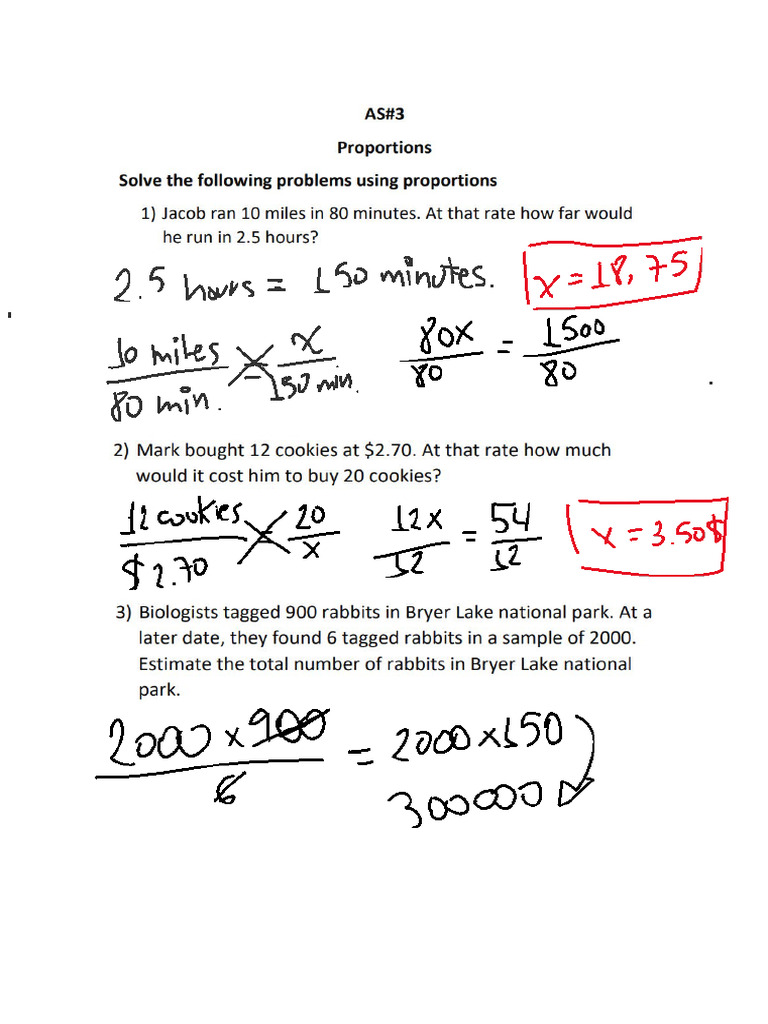 AS3 Proportions | PDF
