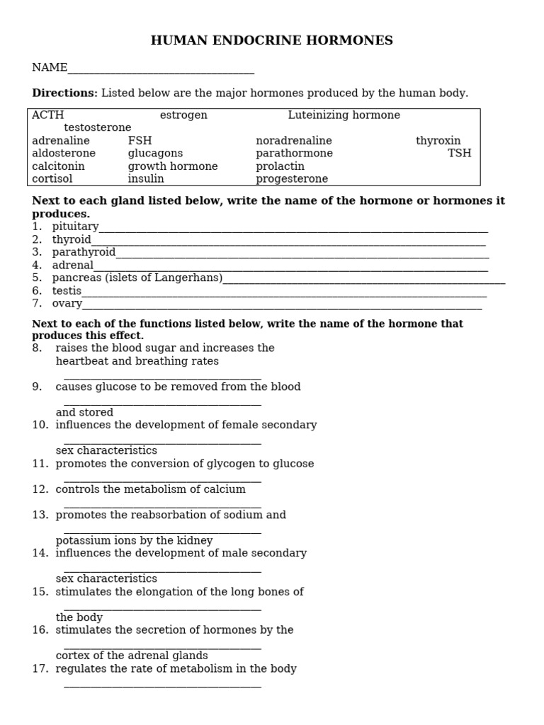 Hormone Functions Worksheet | PDF | Hormone | Self-Improvement