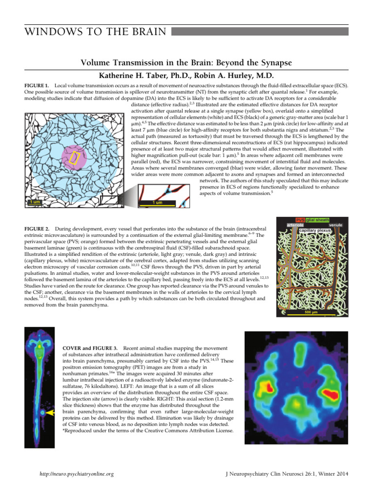 Taber Hurley 2014 Volume Transmission in The Brain Beyond The Synapse | PDF