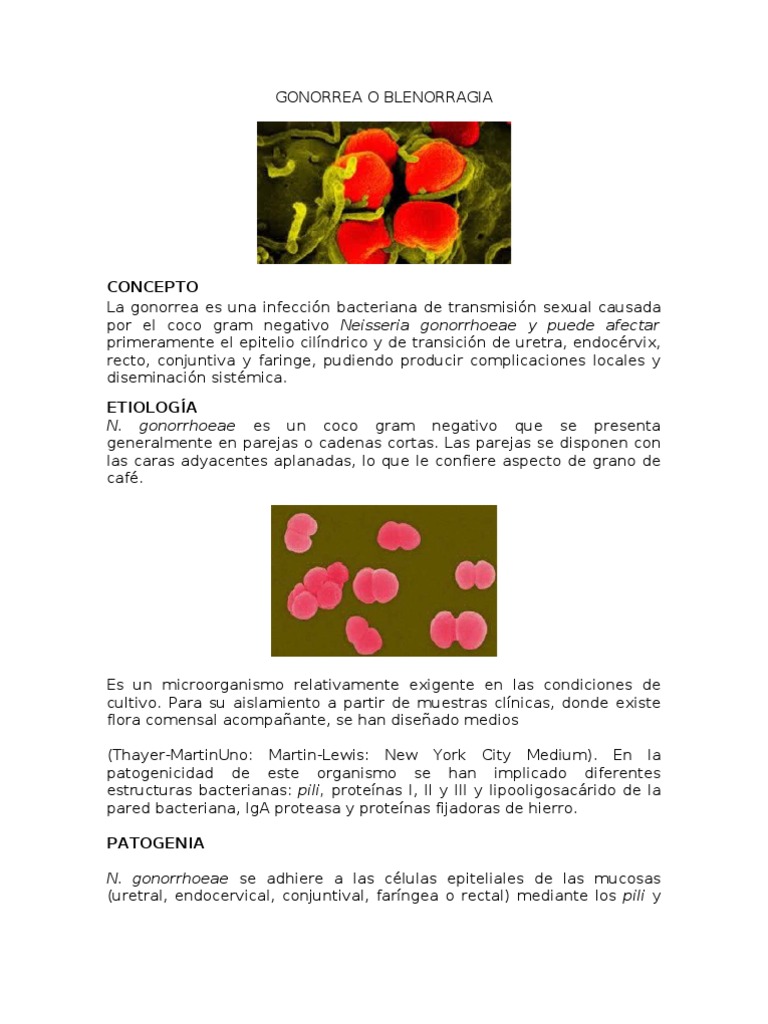 Gonorrea o Blenorragia | PDF | Medicina CLINICA | Inmunología