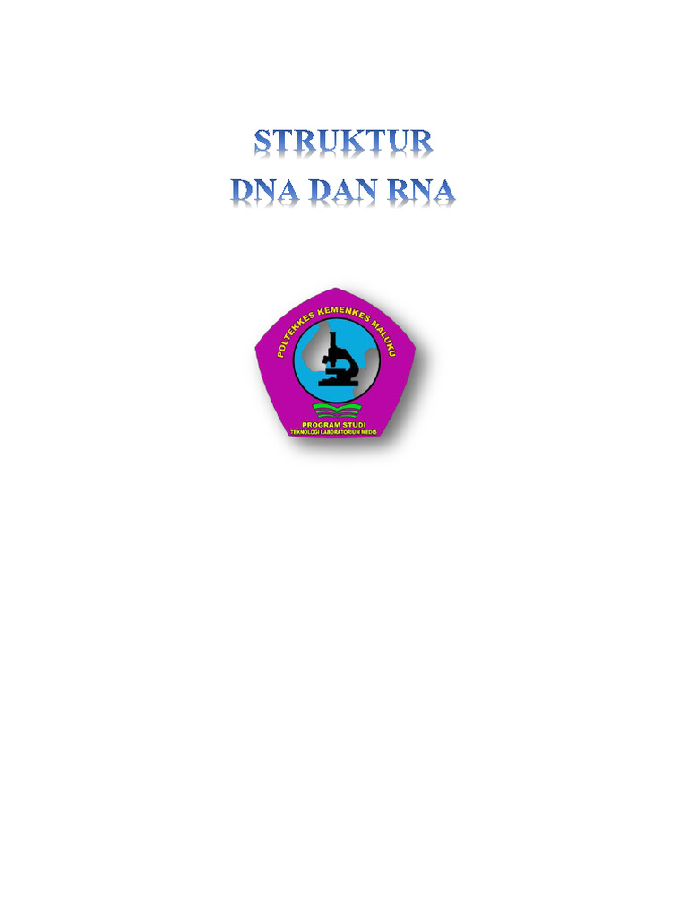 Struktur Dna Dan Rna - 100011 | PDF