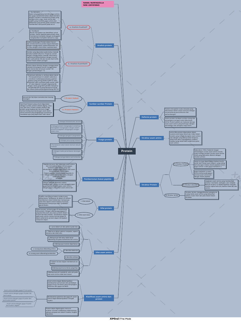 MIND MAPPING Protein | PDF