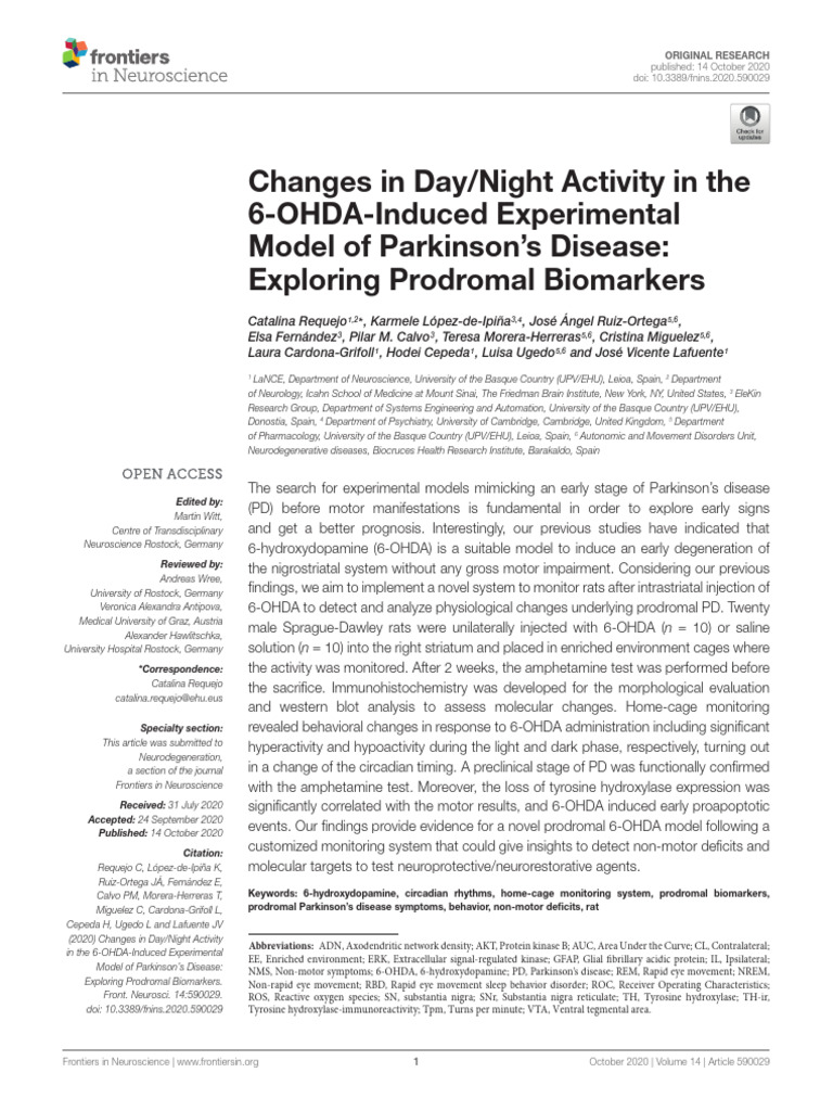 Changes in Day/Night Activity in the 6-OHDA-Induced Experimental Model ...