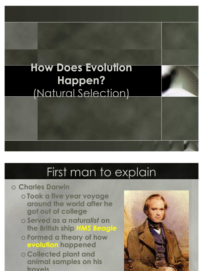 How Does Evolution Happen | PDF
