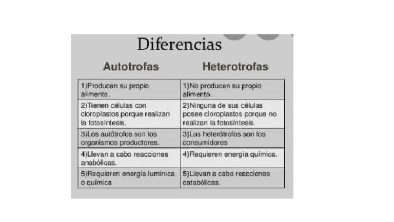 Diferencias Entre Autotrofo y Eterototrofo | PDF