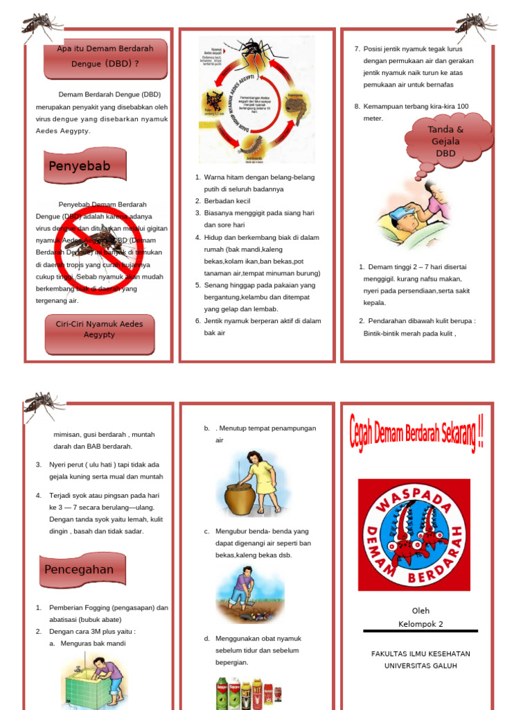 Leaflet DBD | PDF