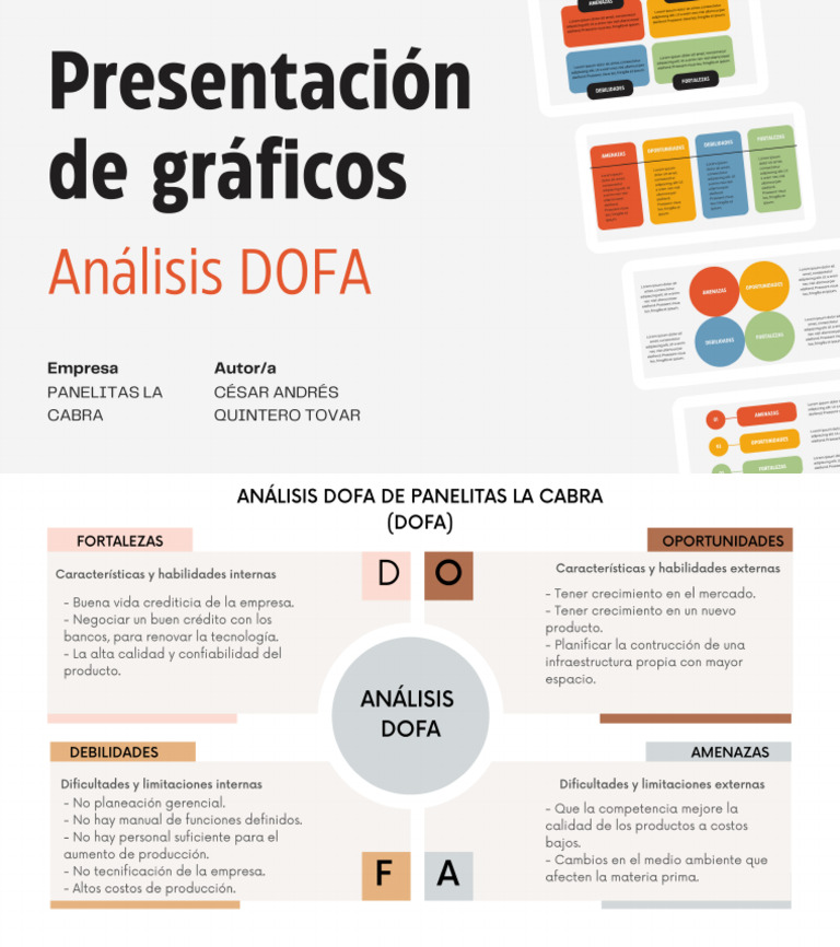 Presentación de Gráficos, de Análisis DOFA (Panelitas La Cabra) - 20240924 - 012938 - 0000 | PDF