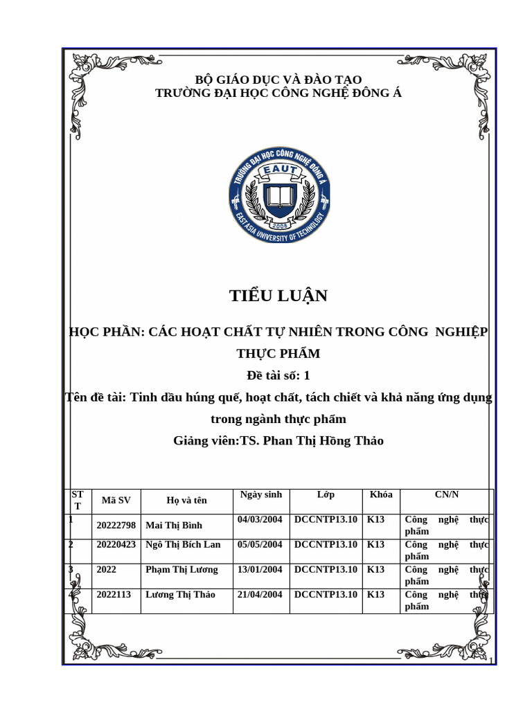 Mau Bia Tieu Luan | PDF