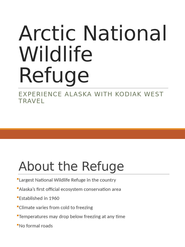 Mostafa PowerPoint 1F Refuge | PDF