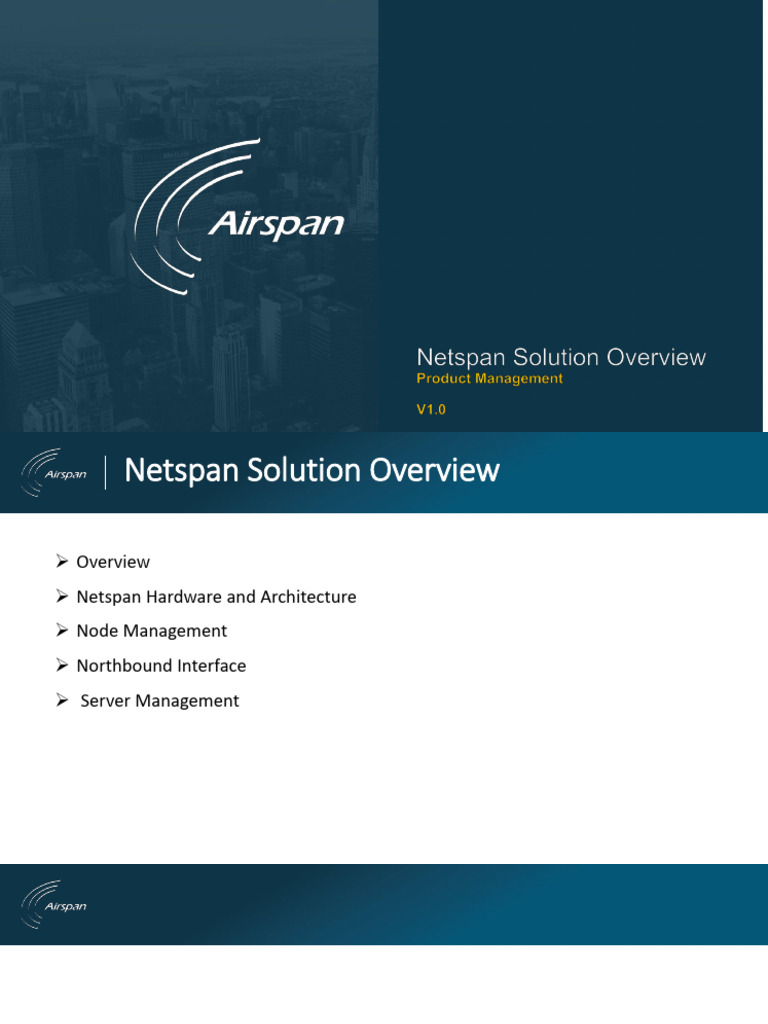Netspan Product Overview - Performace Reporting | PDF