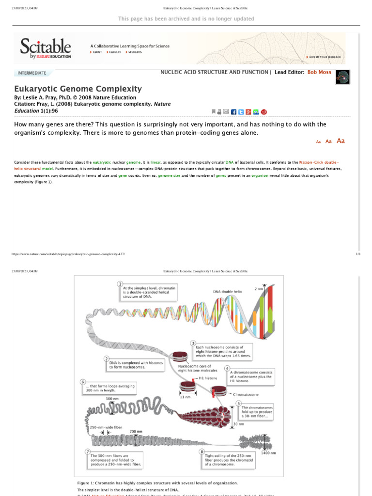 Eukaryotic Genome Complexity - Learn Science at Scitable | PDF