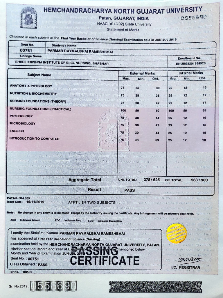 First Year Marksheet | PDF