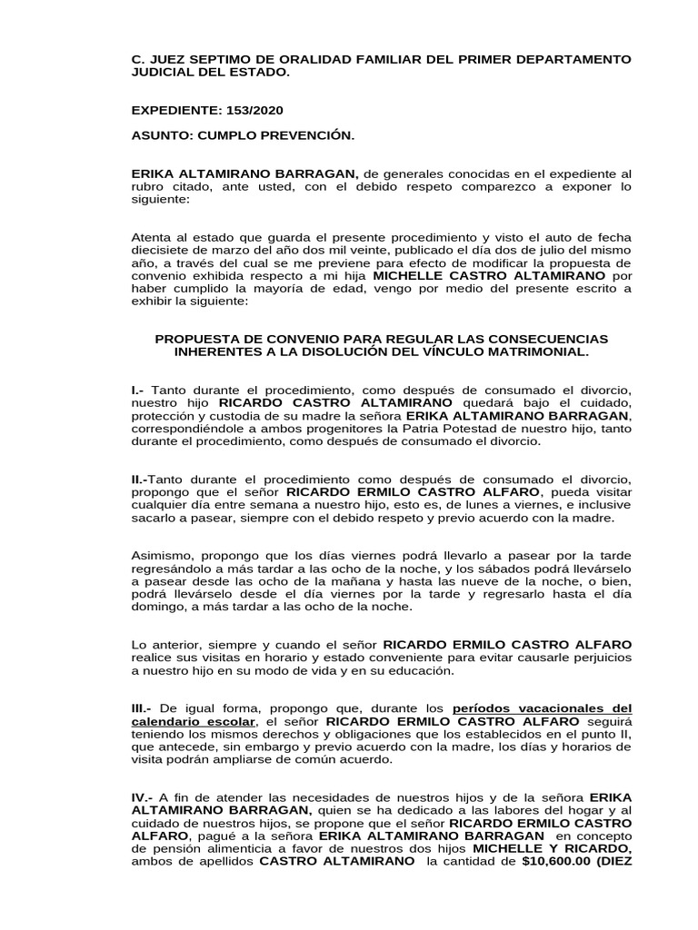 Prevencion Ericka | PDF