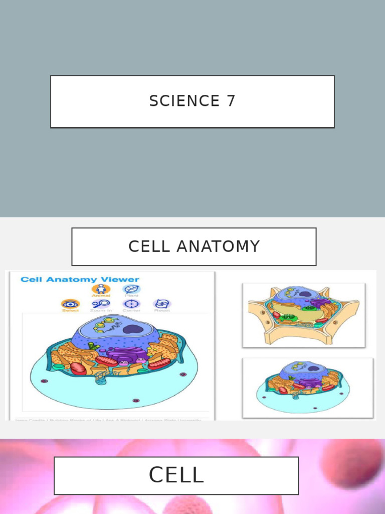 Science 7 - Cells | PDF