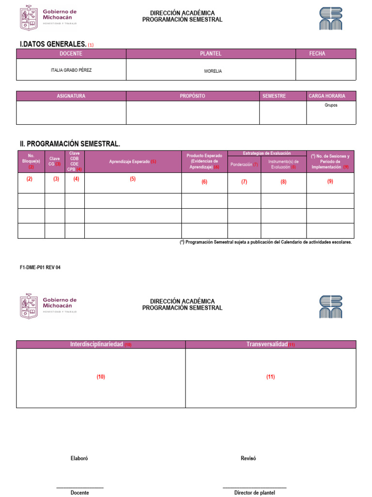 Ejemplo Formato Programacion Semestral Escolarizado | PDF