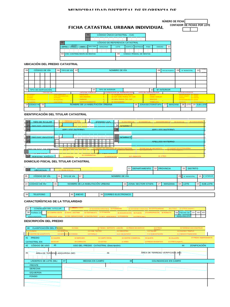 Ficha Catastral Individual Keila | PDF