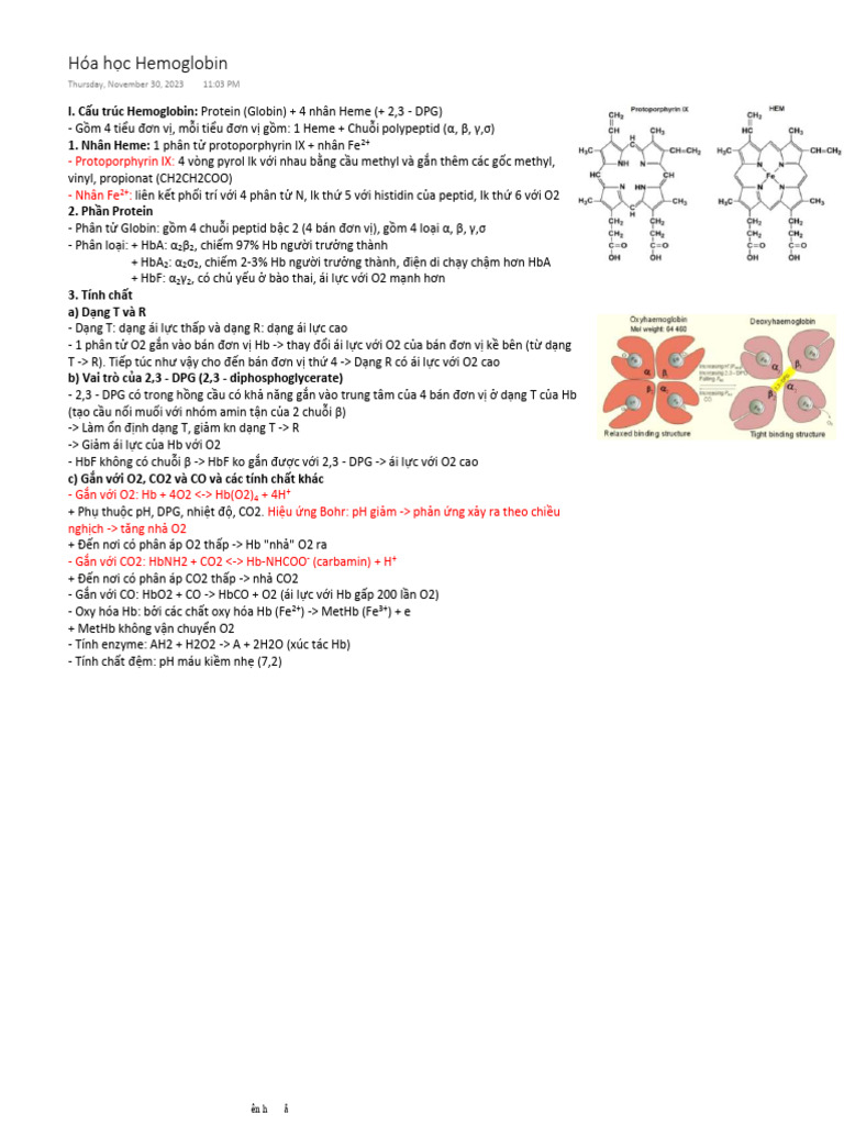 LEC2 - Chuyển hóa Sắt và Hemoglobin | PDF