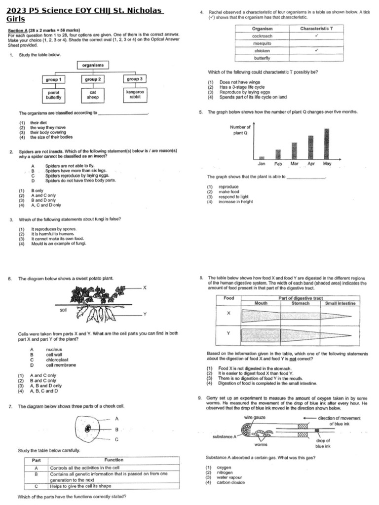 2023 P5 EOY Science ST Nic | PDF