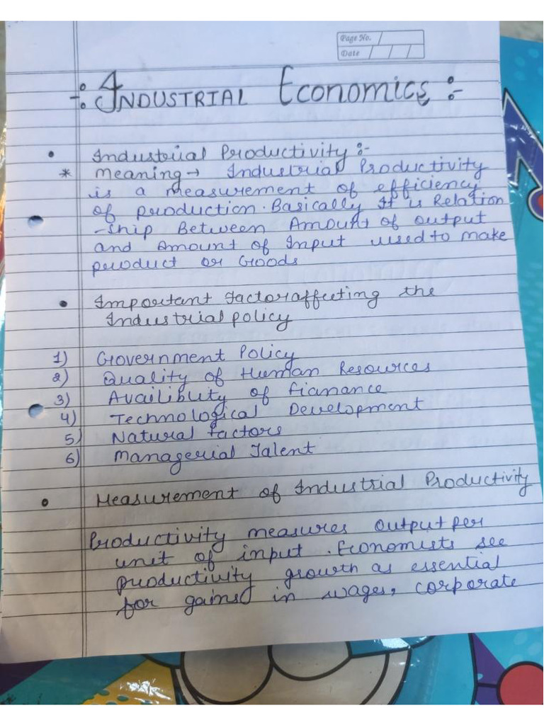 Industrial Economy Assignment | PDF