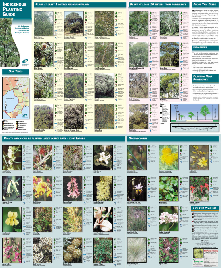 indigenous_planting_guide | PDF
