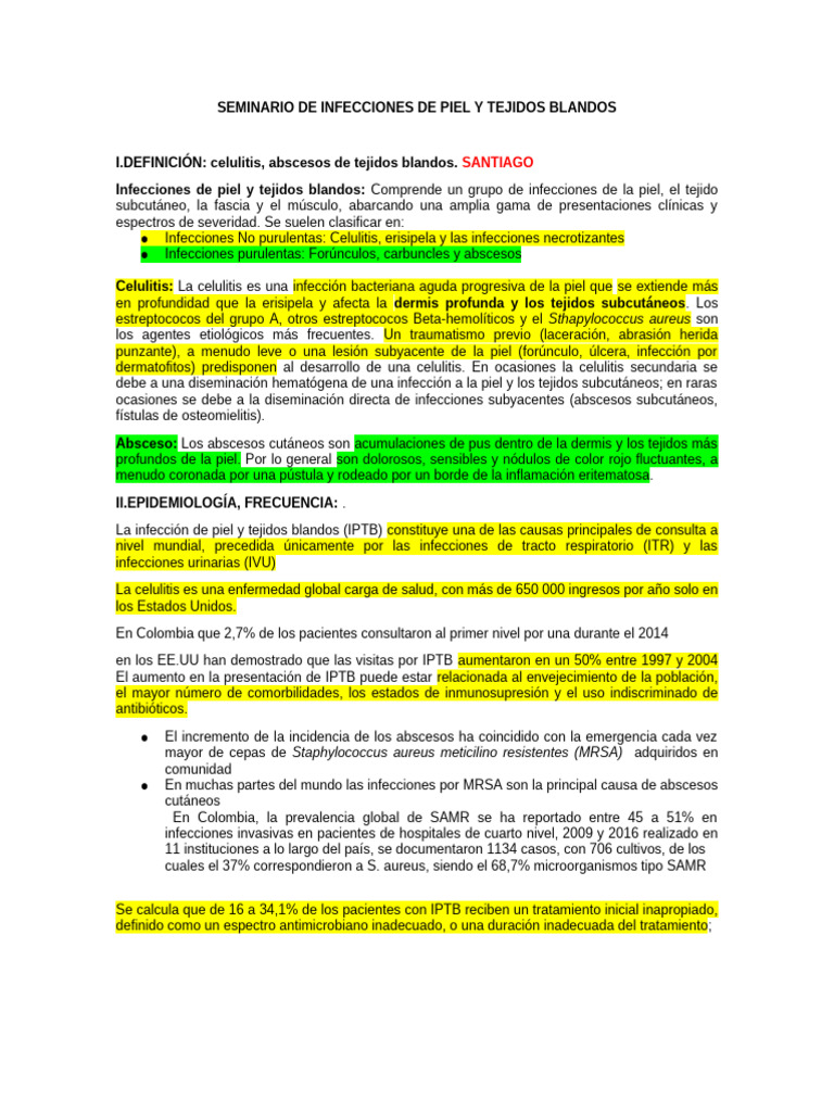 Seminario Infecciones en Piel y Tejidos Blandos | PDF