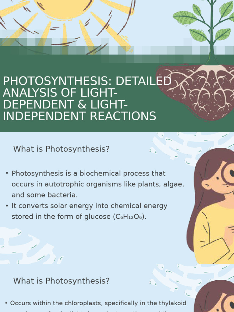 Photosynthesis Detailed Analysis of Light Dependent Light Independent ...