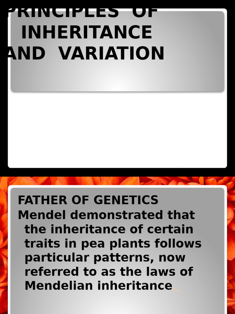 5 Principles of Inheritance and Variation | PDF