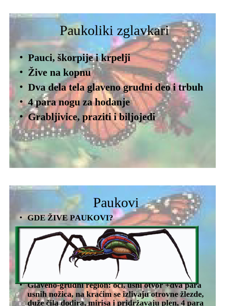 Paukoliki Zglavkari | PDF