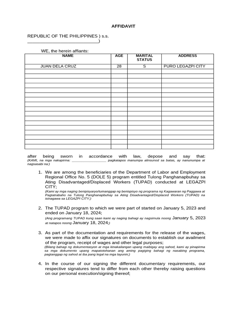 Affidavit-Liquidation-template-only-1 | PDF