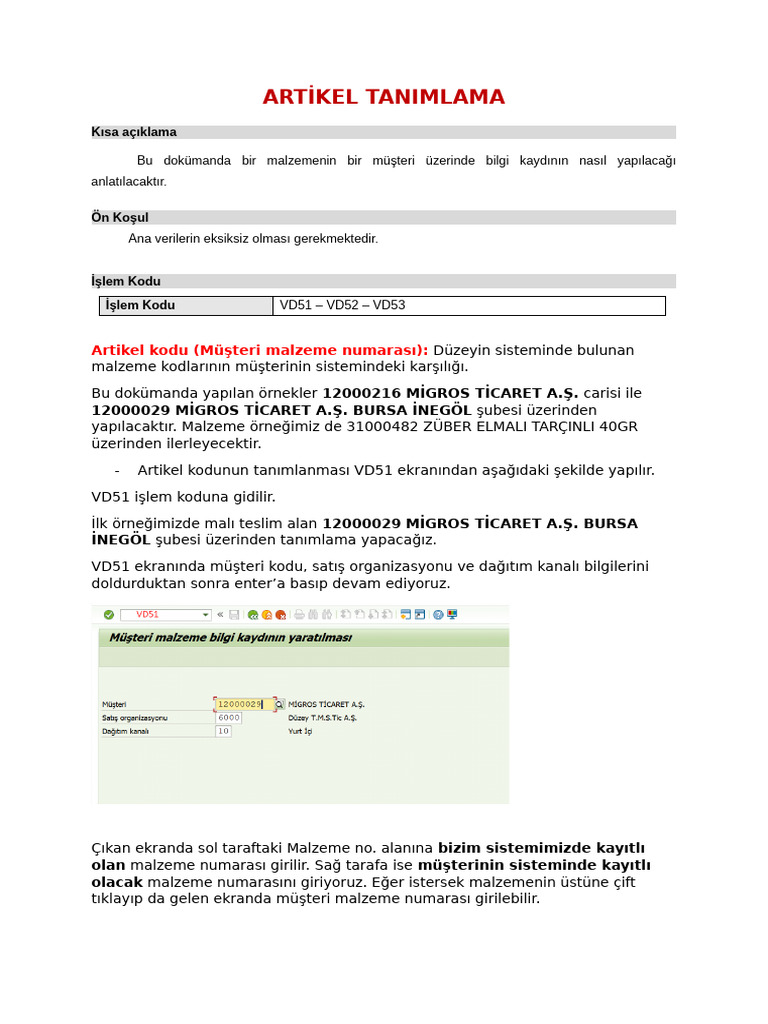 VD51 Müşteri-Malzeme Bilgi Kaydı | PDF