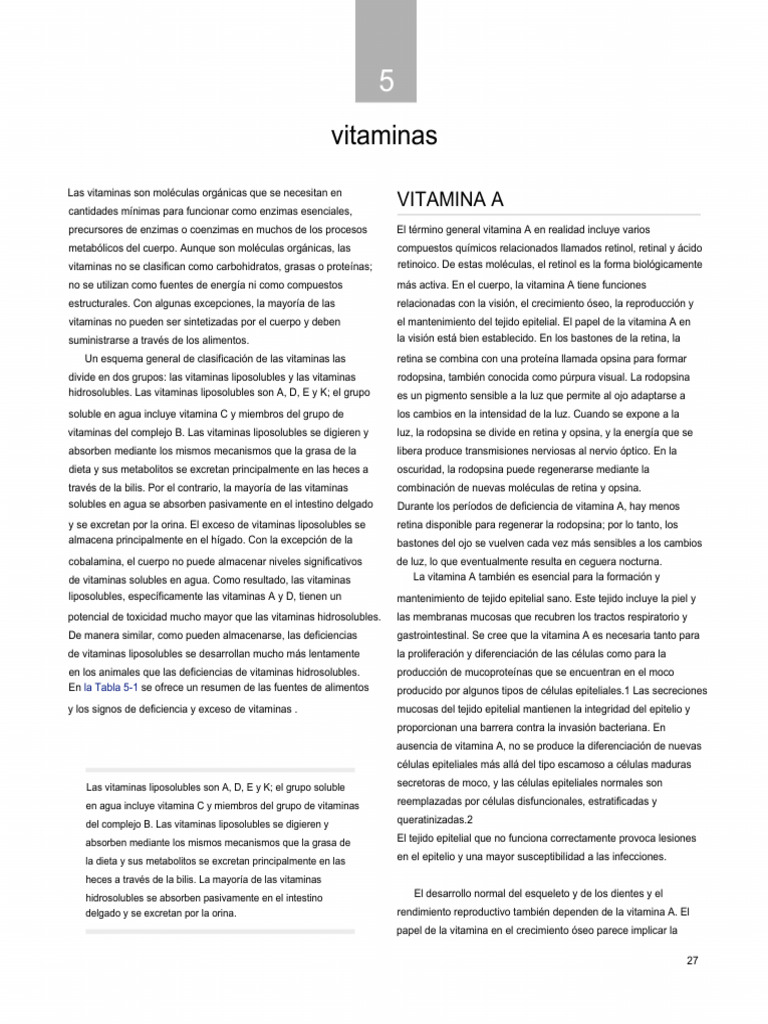 ES Vitaminas | PDF