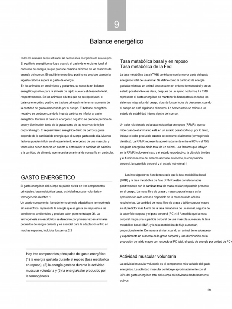 Balance Energético | PDF