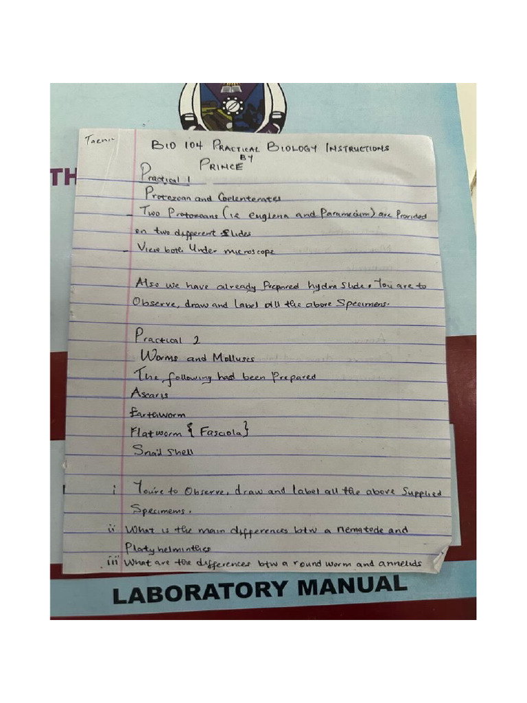 Bio 104 Practical Biology Ii Instructions by Prince ? | PDF