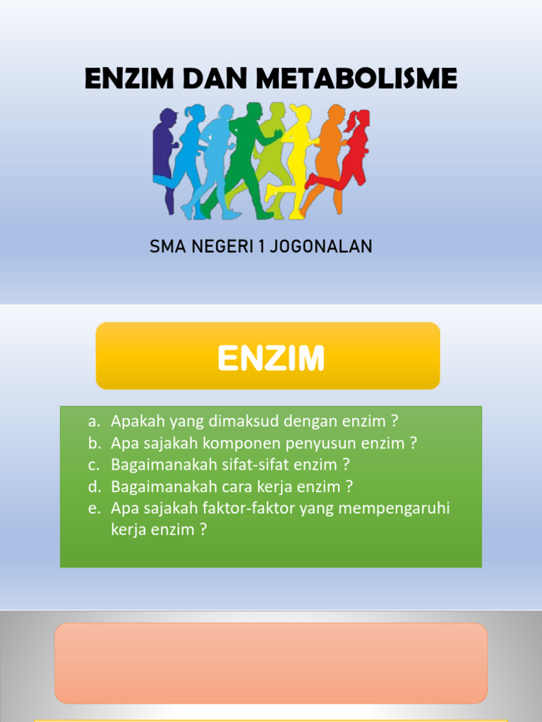 Enzim Dan Metabolisme | PDF