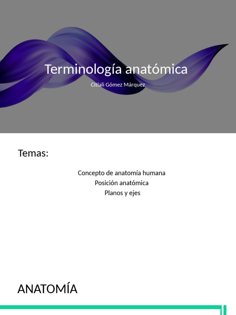 Terminología Anatómica | PDF