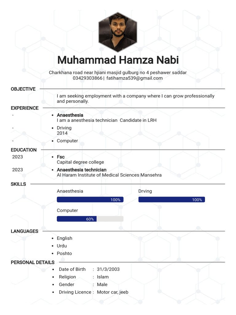 New CV Hamza Driving | PDF