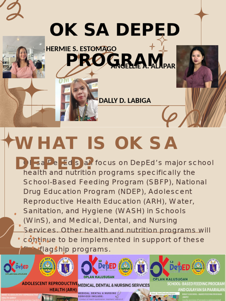 Ok Sa Deped Program - Reporter 9 | PDF