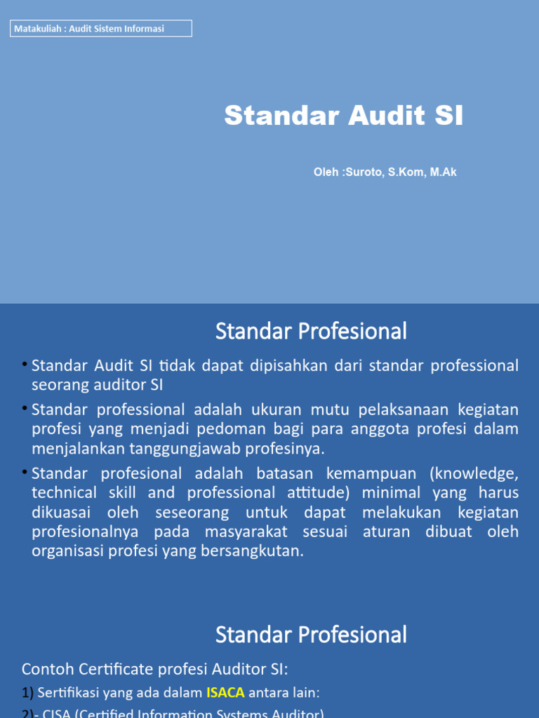 05 Standar Audit SI | PDF