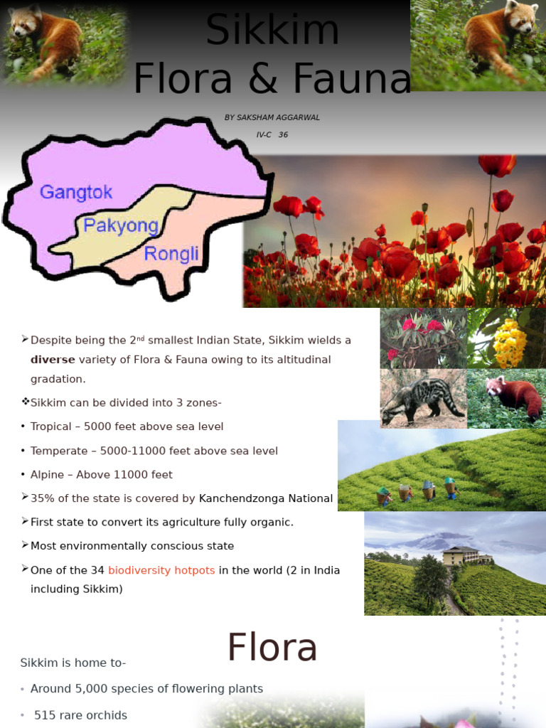 Sikkim Flora Fauna Pdf