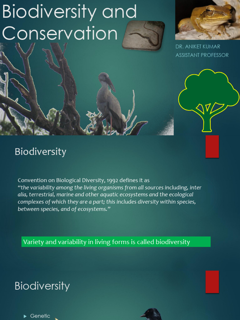 Chapter 4 - Biodiversity and Conservation | PDF