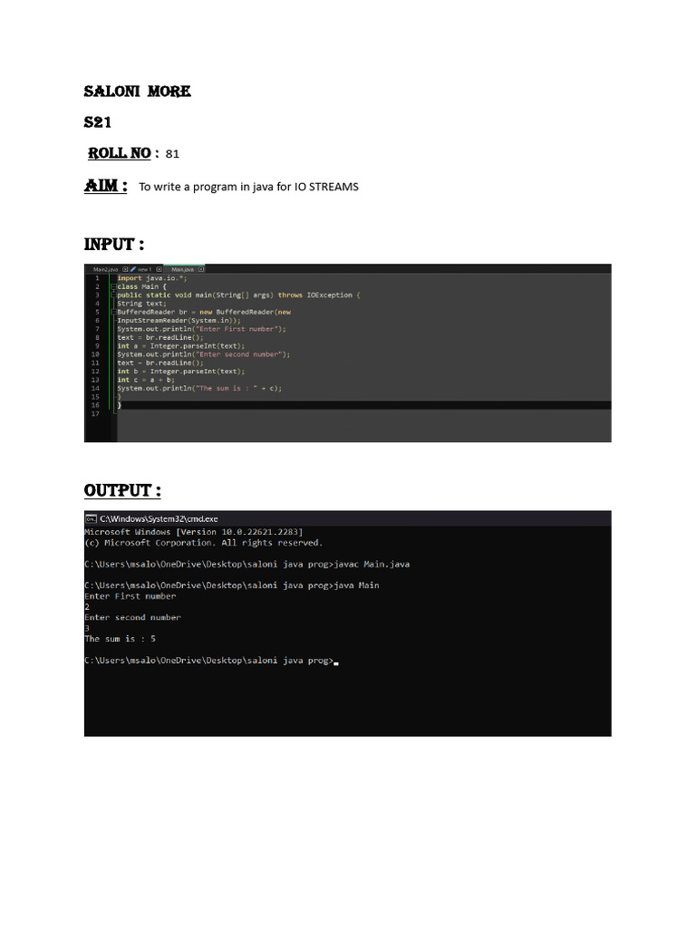 Saloni - s21 (81) Io Stream Assignment | PDF